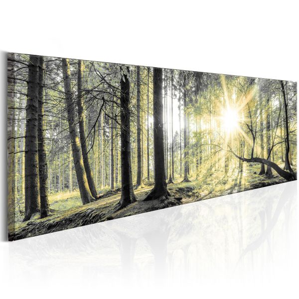 Tableau Morning Forest 135x45 cm | Leroy Merlin