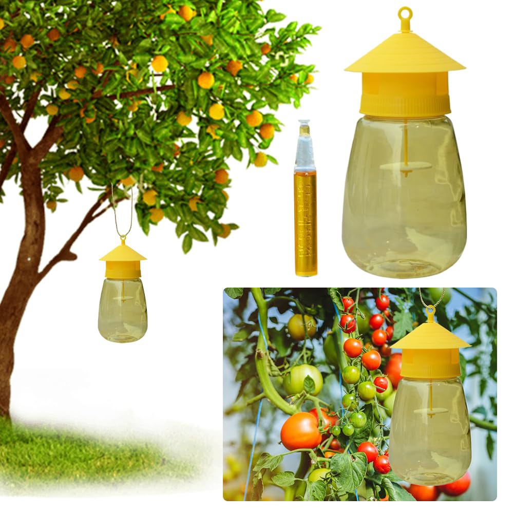 Pièges à insectes pour l'extérieur - Piège à mouches à fruits, piège à ...