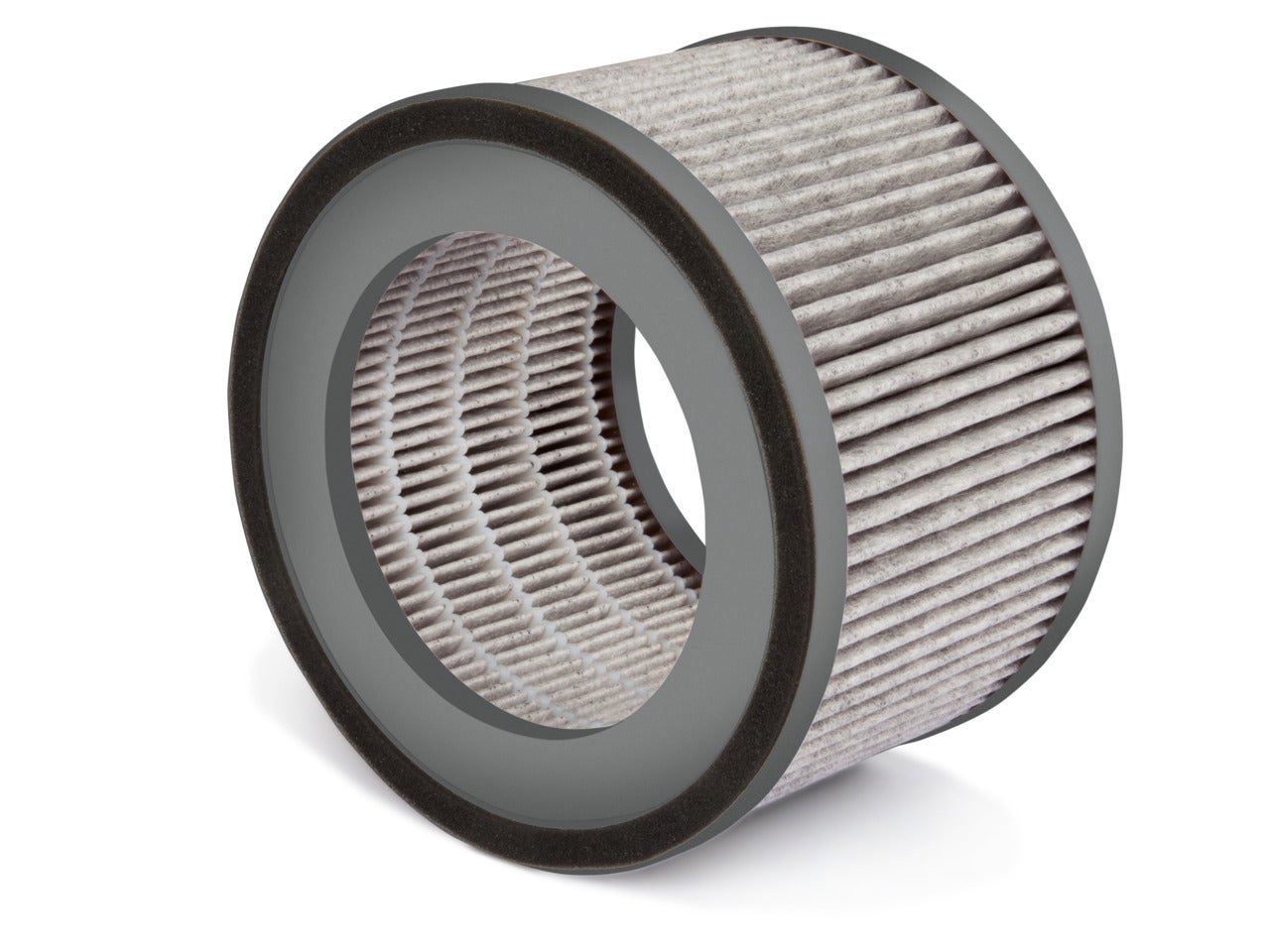 Soehnle 68106 Airfresh Clean 300 Vervangfilter | Leroy Merlin