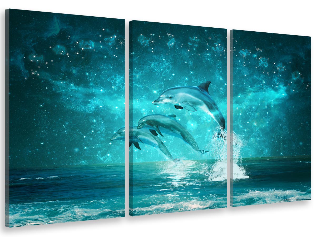 Tableau triptyque deco dauphins astro - 90x60 cm | Leroy Merlin