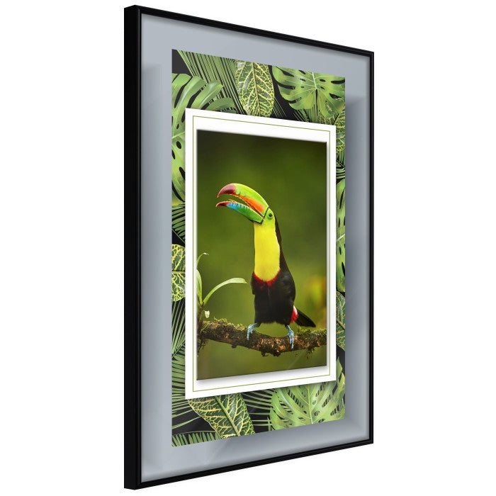 Affiche Murale Encadrée "Toucan in the Frame" 40 x 60 cm Noir | Leroy ...