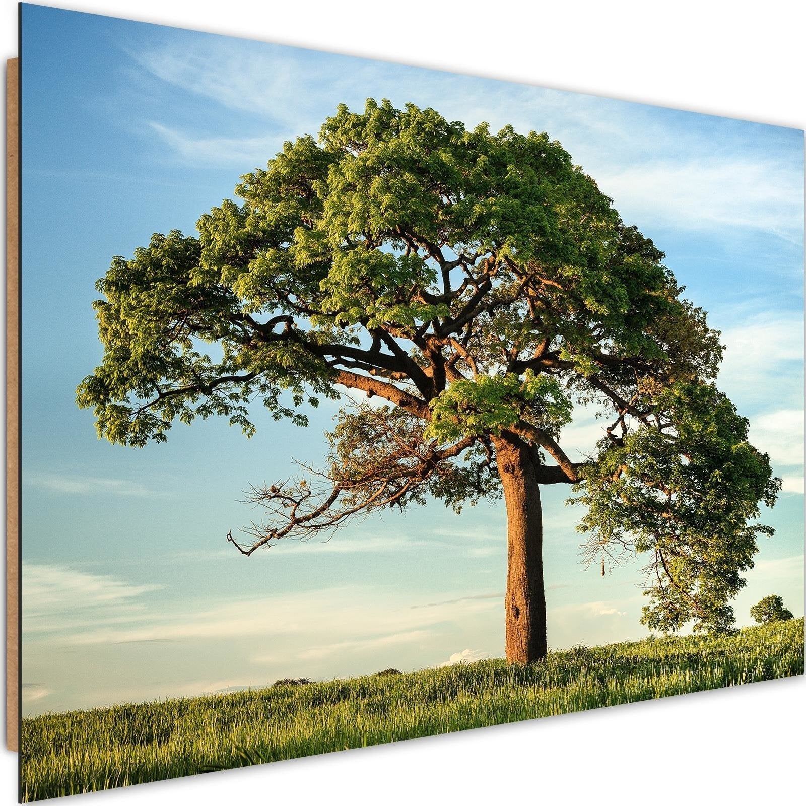 Tableau bois grand arbre - 60 x 40 cm | Leroy Merlin