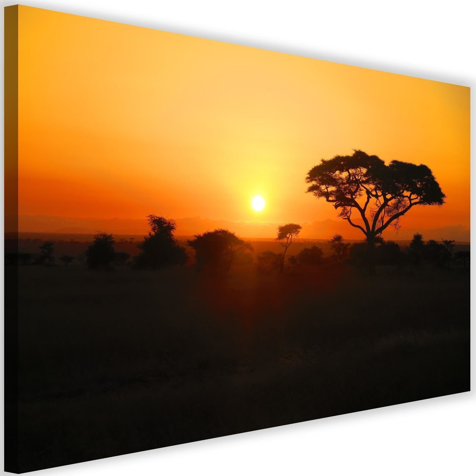 Tableau coucher de soleil africain - 90 x 60 cm | Leroy Merlin