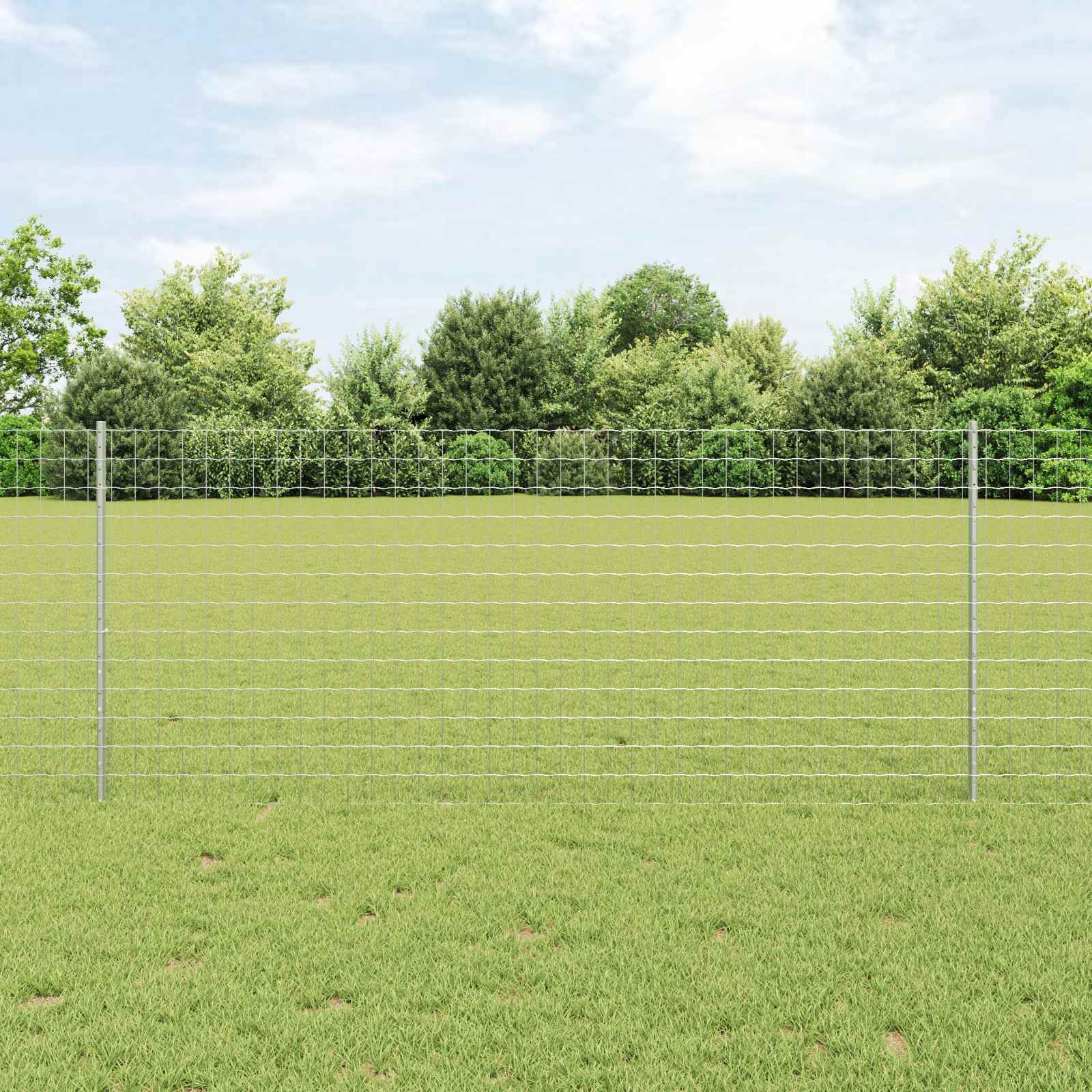 Maison Exclusive - Valla Euro con Poste 10 x 1 m Acero Galvanizado ...