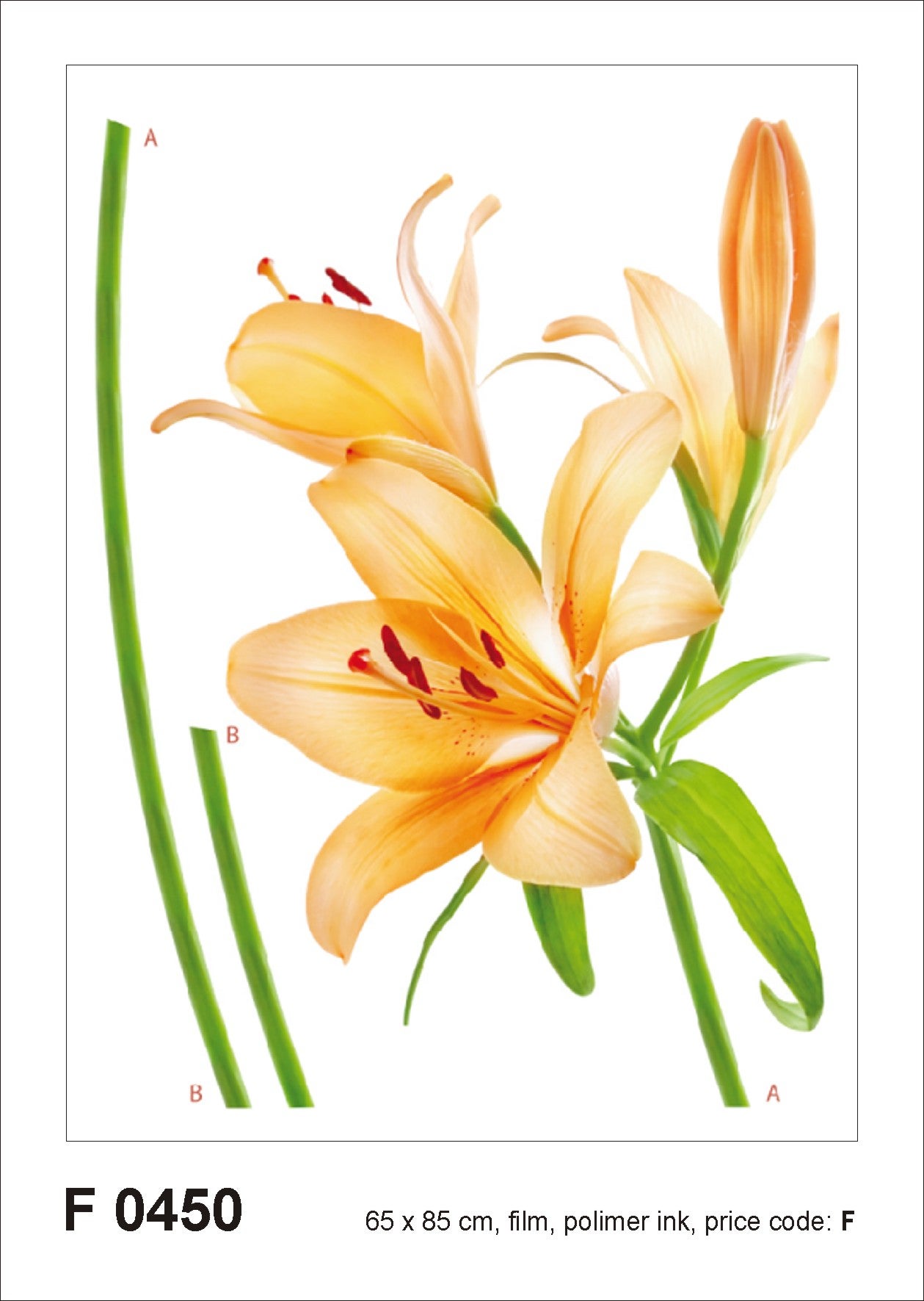 Sticker Décoratif fleurs orange et vert - 85 x 65 cm - Sanders ...