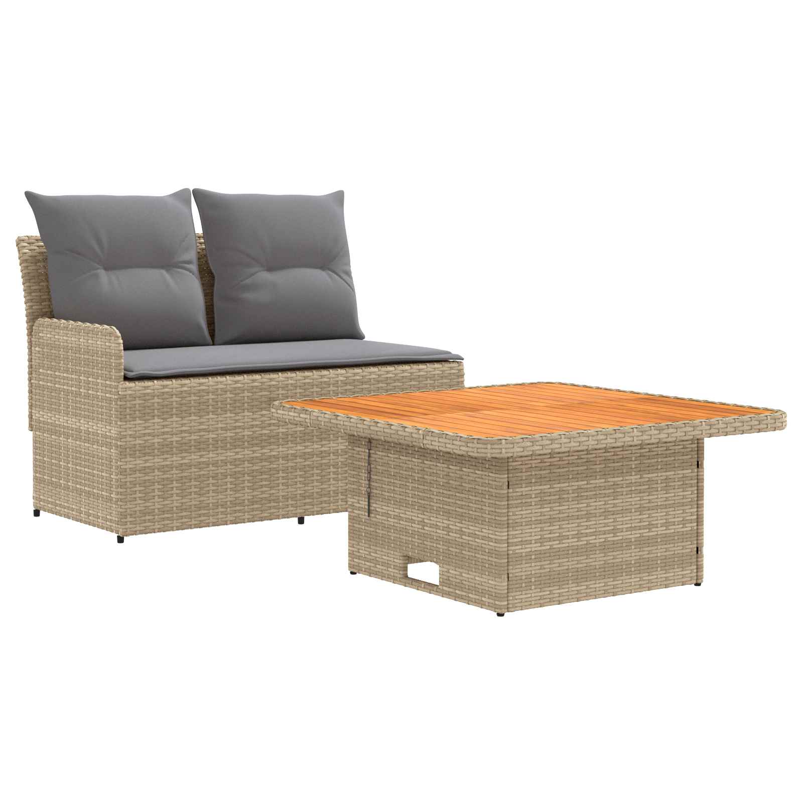 Canapé de jardin | Salon de jardin avec accoudoirs et table relevable 2 ...