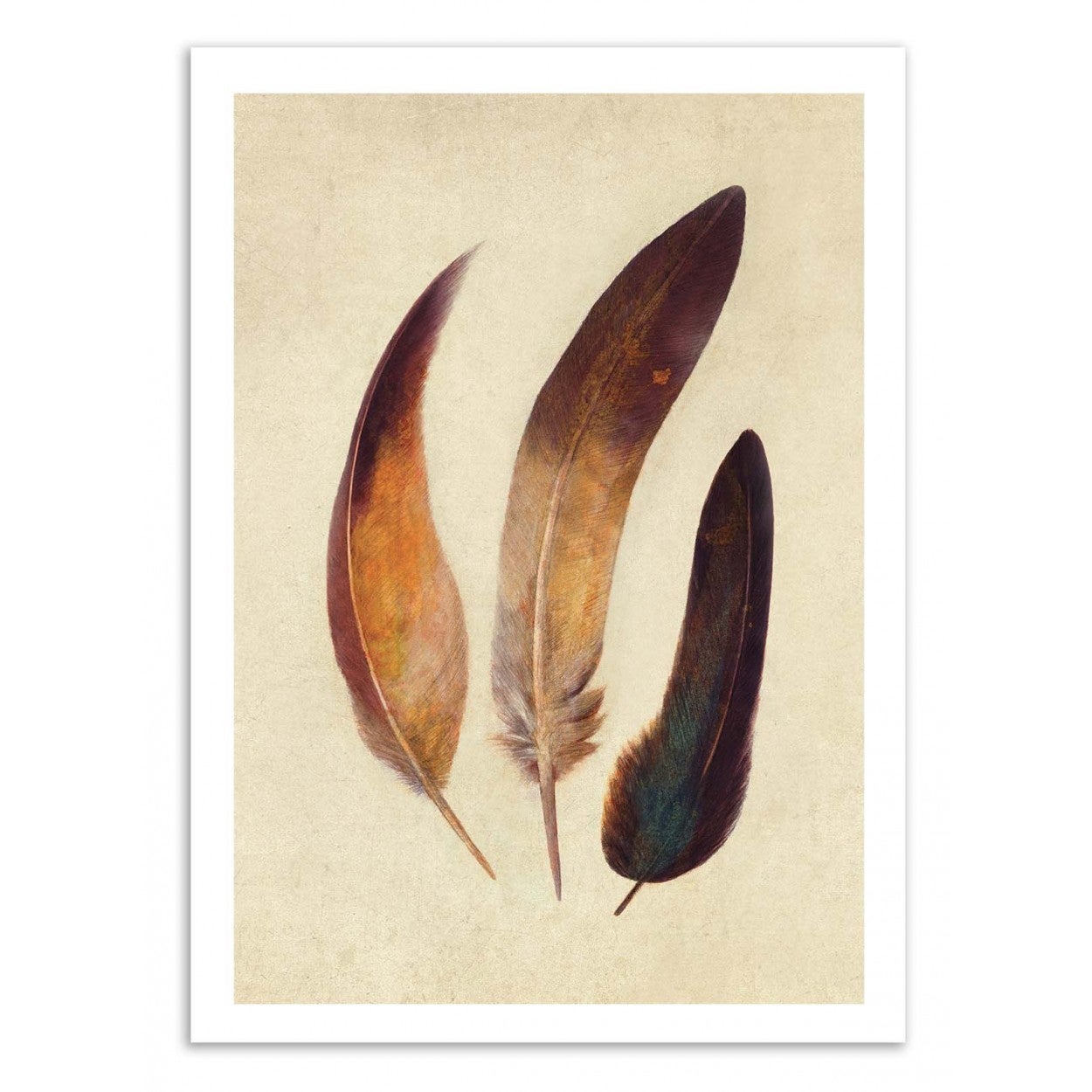 Art-Poster - Three feathers - Terry Fan - 50 x 70 cm | Leroy Merlin