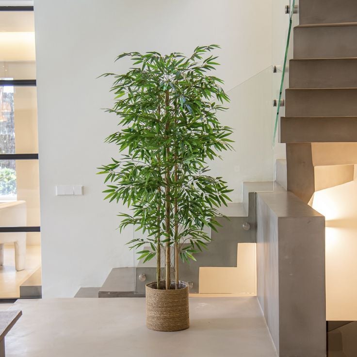 Planta artificial Bambú 180 cm con maceta de 17,5 cm | Leroy Merlin