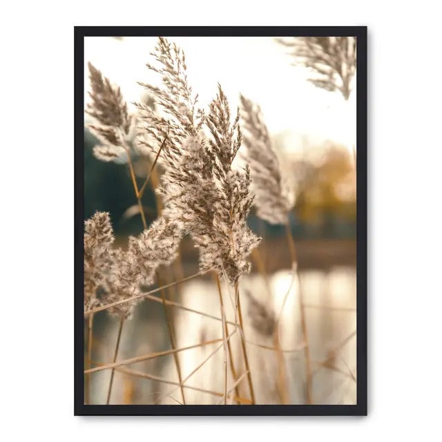 Pampas je peins | Leroy Merlin