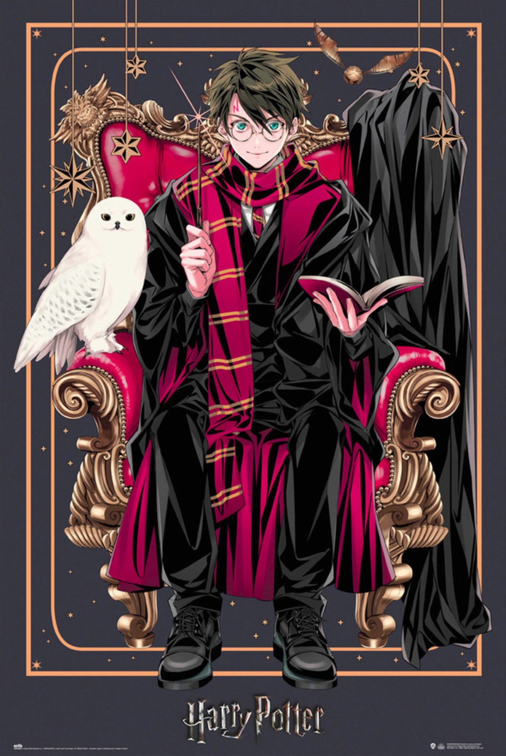 Poster Harry Potter - Wizard Dynasty 61x91.5cm | Leroy Merlin