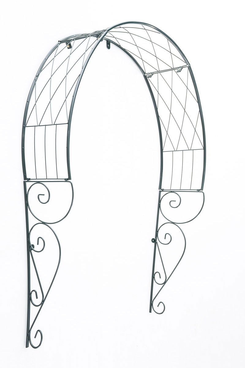 Arche à rosiers en forme de marquise pour porte d'entrée Vert | Leroy ...