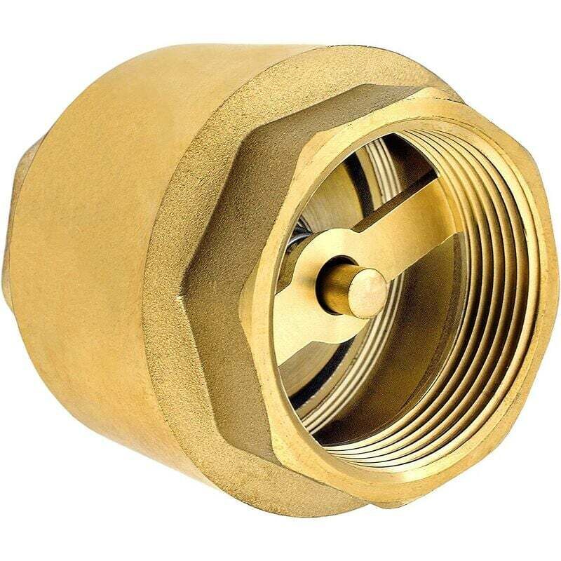 Clapet anti-retour 1 pouce laiton antirouille – Filetage BSP ...