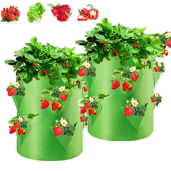 Lot de 2 sacs de plantation pour fraises, fleurs, herbes aromatiques ...