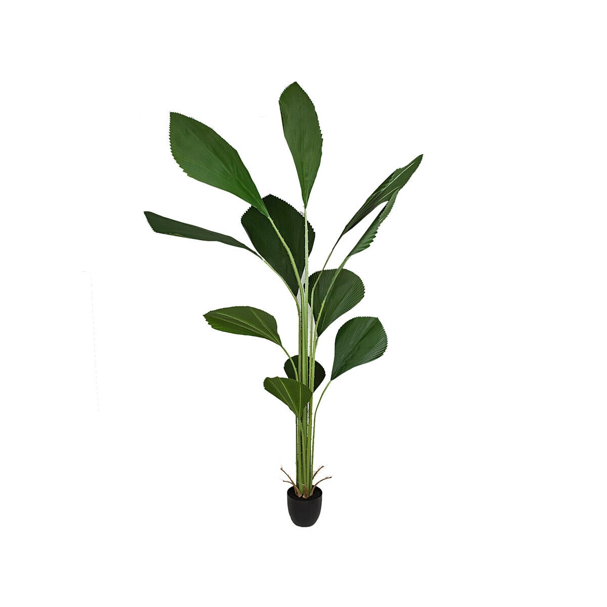 Pianta Decorativa Romimex PVC Licuala 20 x 180 x 20 cm | Leroy Merlin