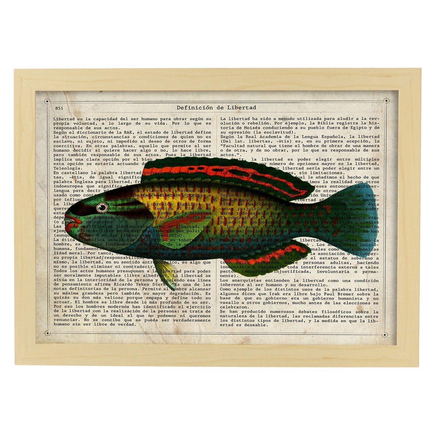 Affiche De Poisson Marin. Fiche De Poisson Loro Avec Définition ...