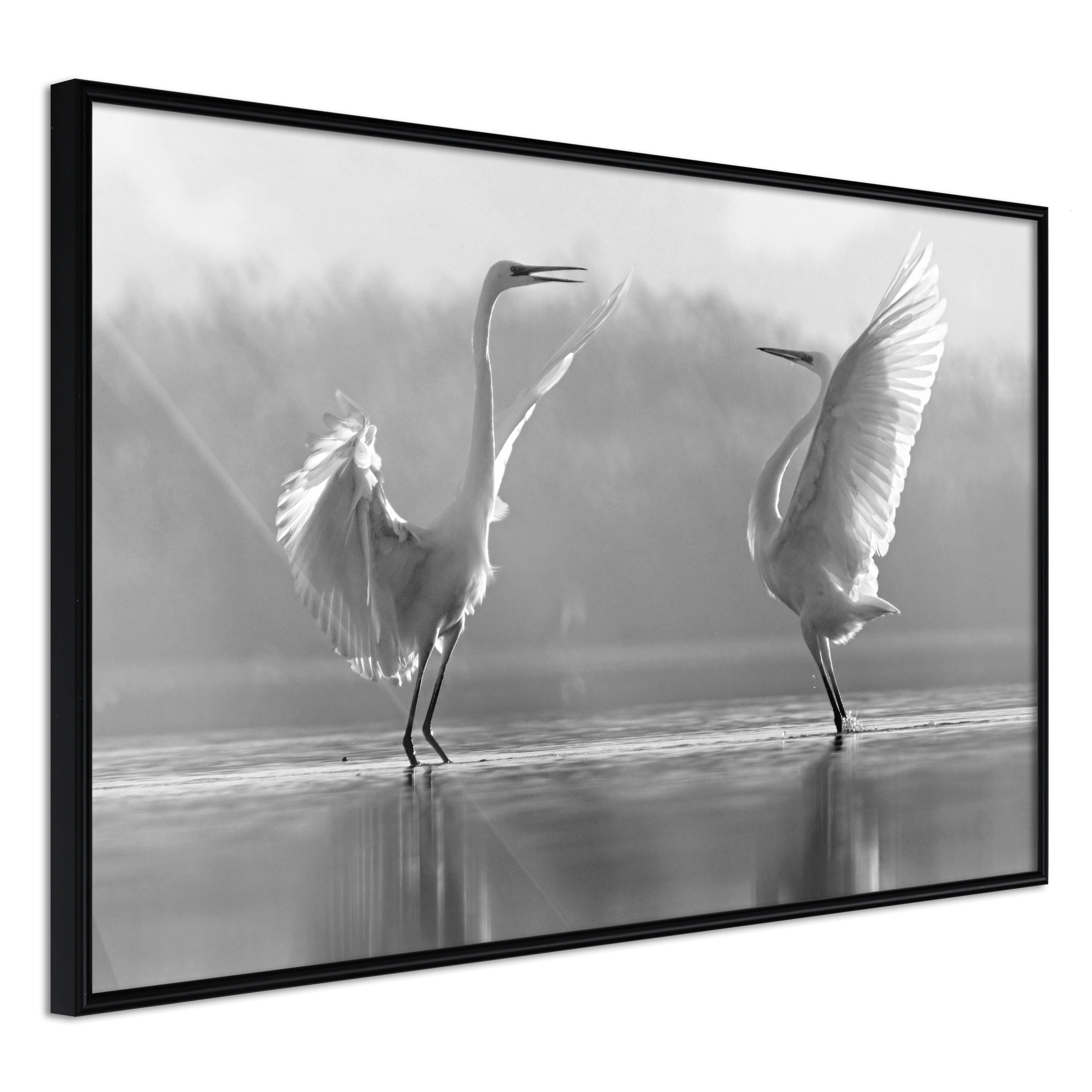 Poster et affiche - Black and White Herons - 90x60 | Leroy Merlin Poster et affiche - Black and White Herons - 90x60 | Leroy Merlin