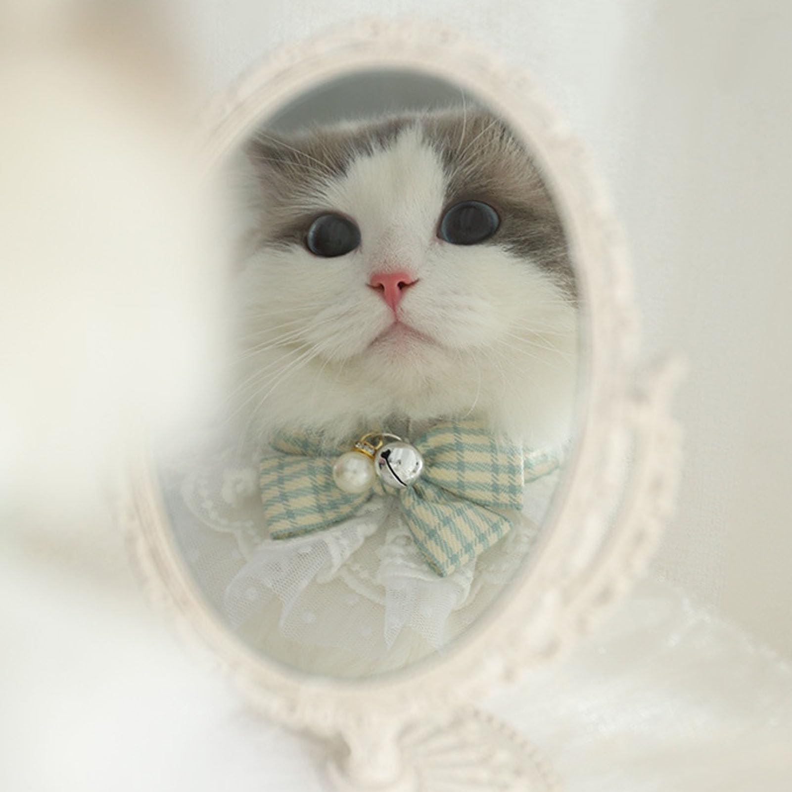 Collier en dentelle pour chat avec nœud et cloches, accessoire mignon ...