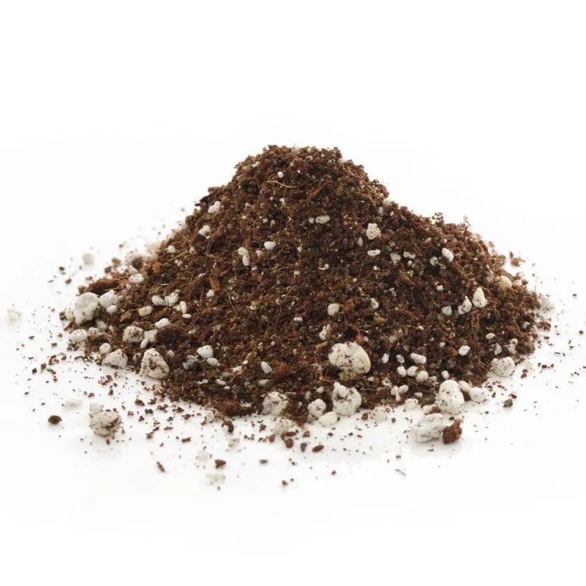 Substrato idroponico | 70% Fibra di Cocco + 30% Perlite / Big bag 1000 ...