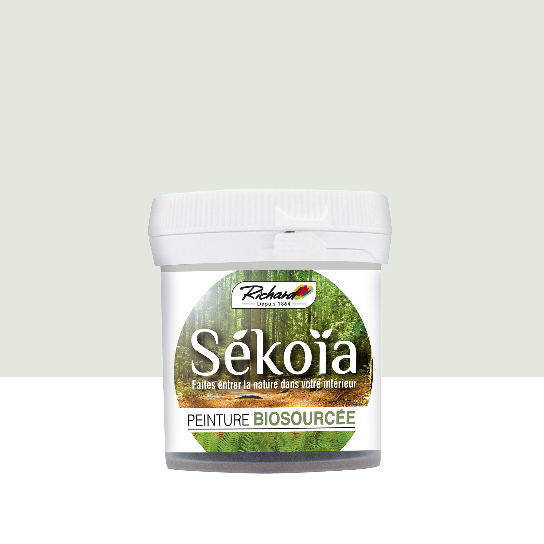 Peinture biosourcée Sékoia Richard lait matcha mat 50ml | Leroy Merlin