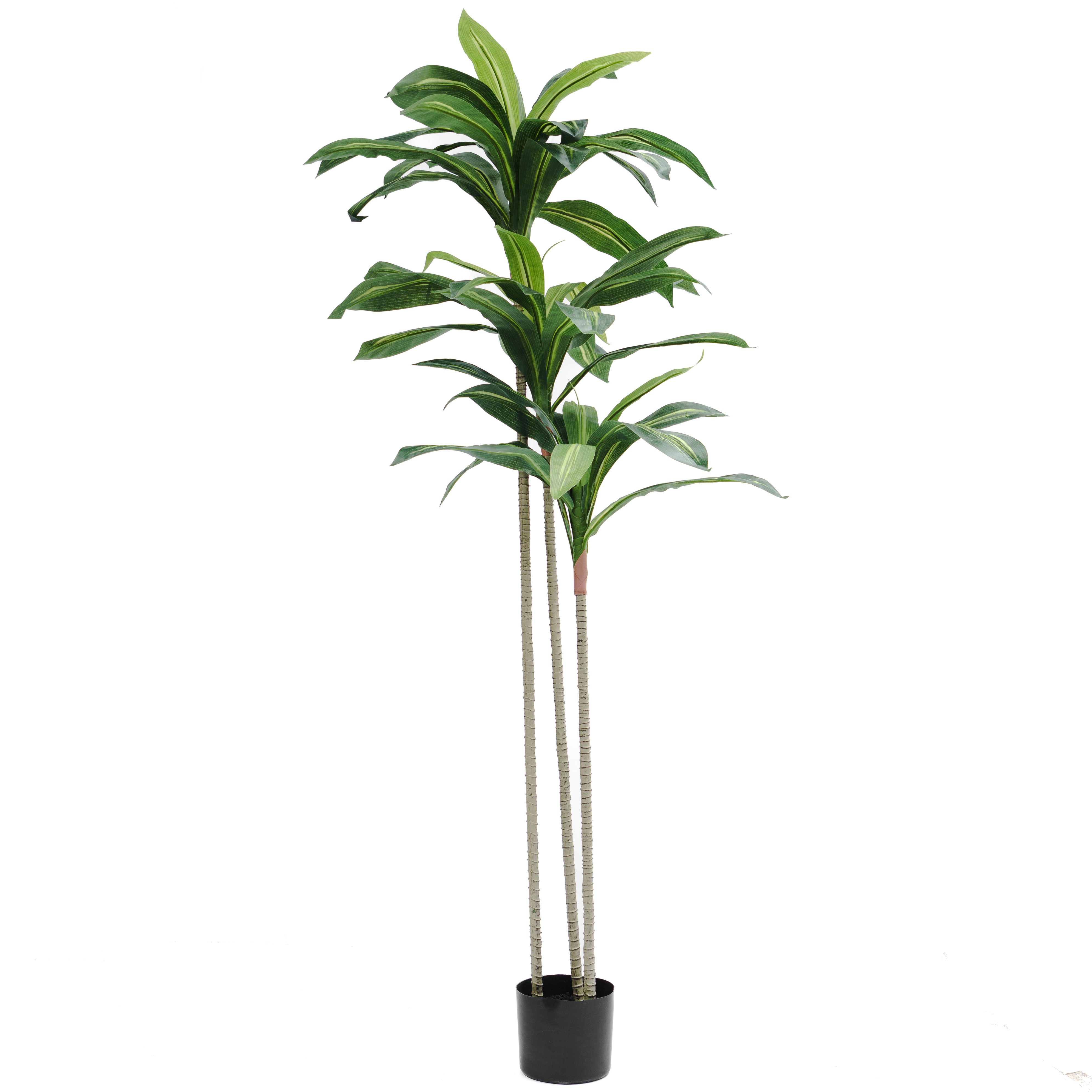 Planta Artificial Dracaena 160 cm - Dracena Artificial | Leroy Merlin