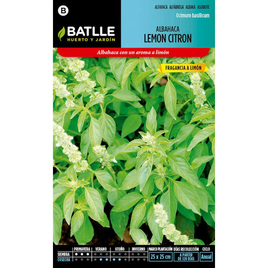 Semillas de Albahaca Lemon | Leroy Merlin