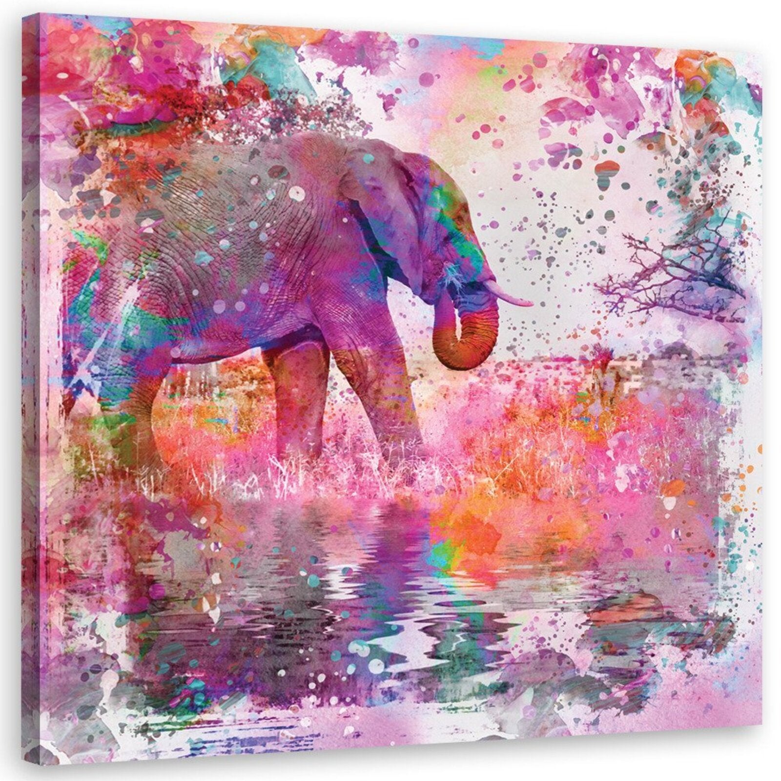Tableau éléphant sur fond coloré - 60 x 60 cm | Leroy Merlin