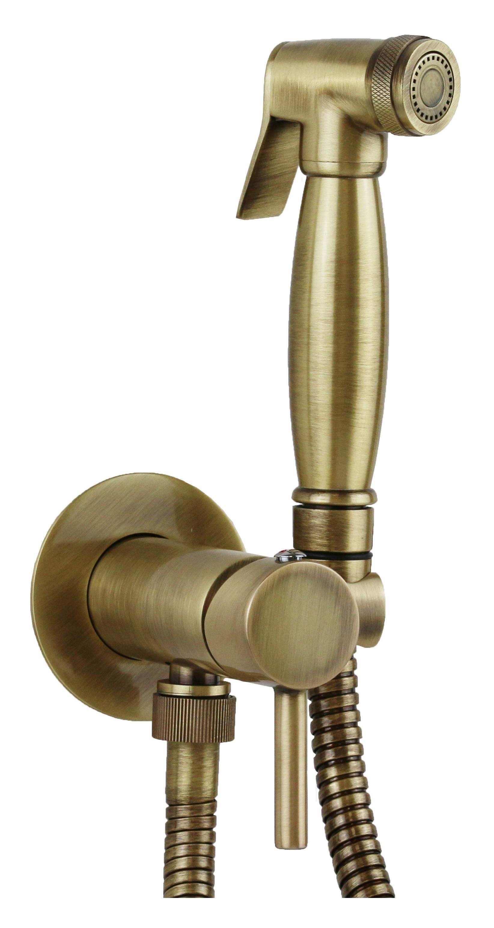 Ensemble bidet avec mitigeur et douche en laiton finition bronze ...