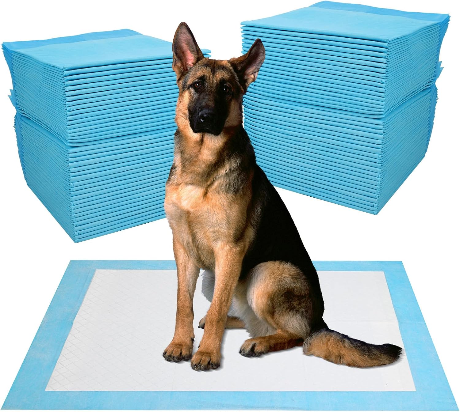 40 Pièces Alaise pour Chien 60 × 90 cm - Tapis Absorbant Chien, Super ...