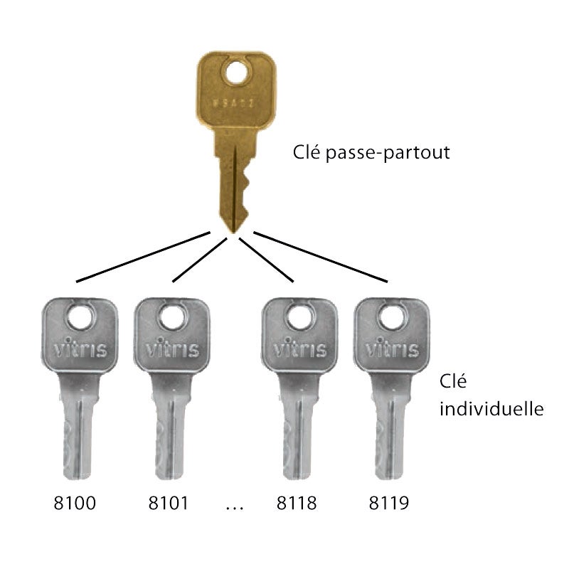 Clé passe-partout secura - Décor : Bronze - VITRIS | Leroy Merlin