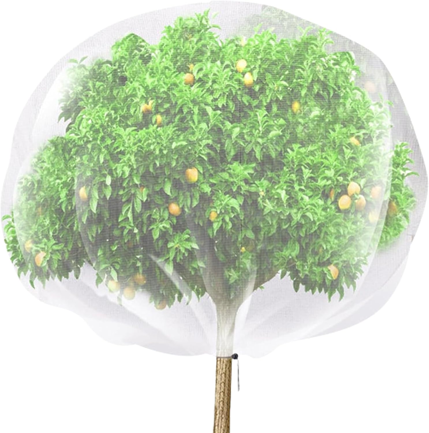 Filet anti-insectes, filet de protection pour arbres fruitiers ...