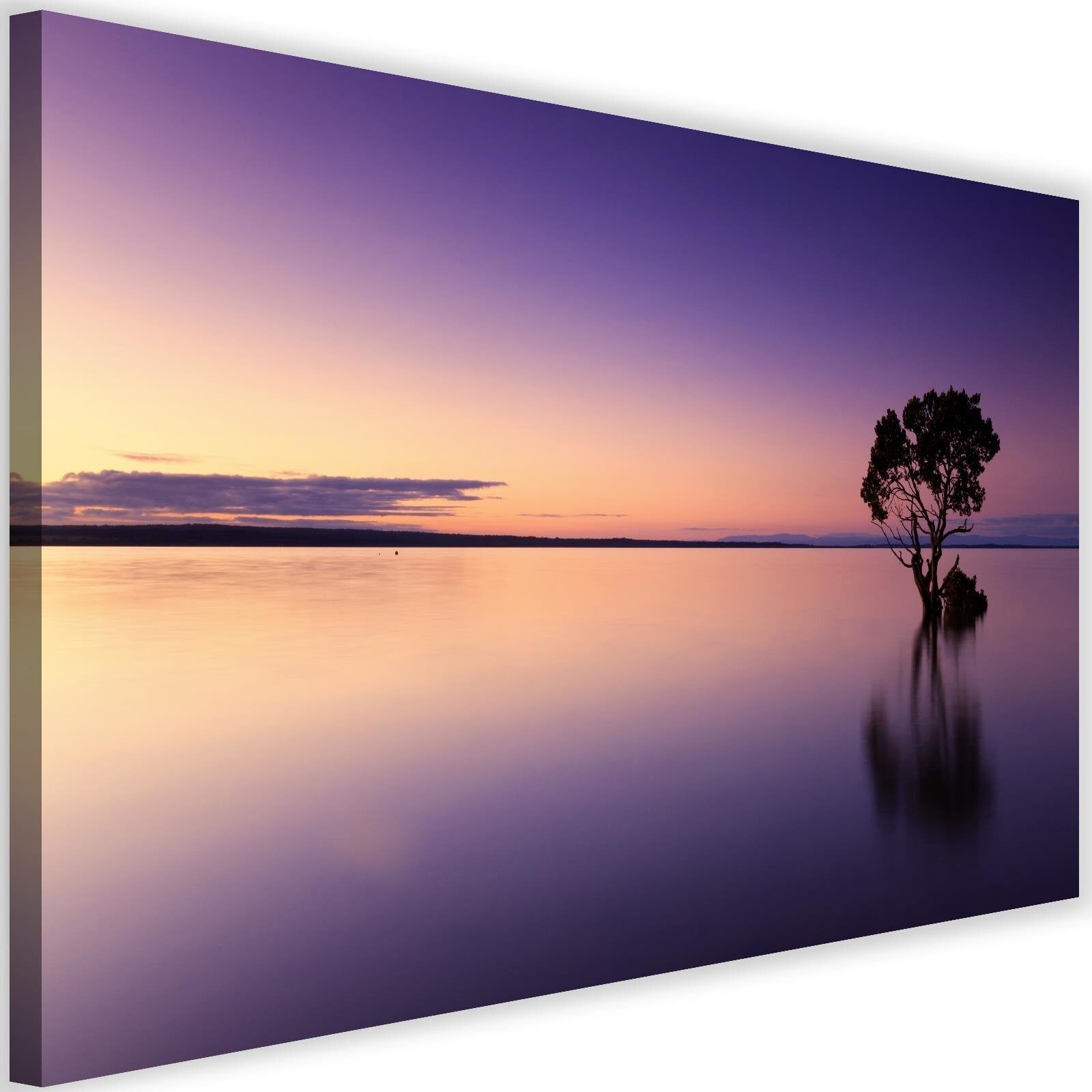 Tableau arbre solitaire sur le lac - 60 x 40 cm | Leroy Merlin