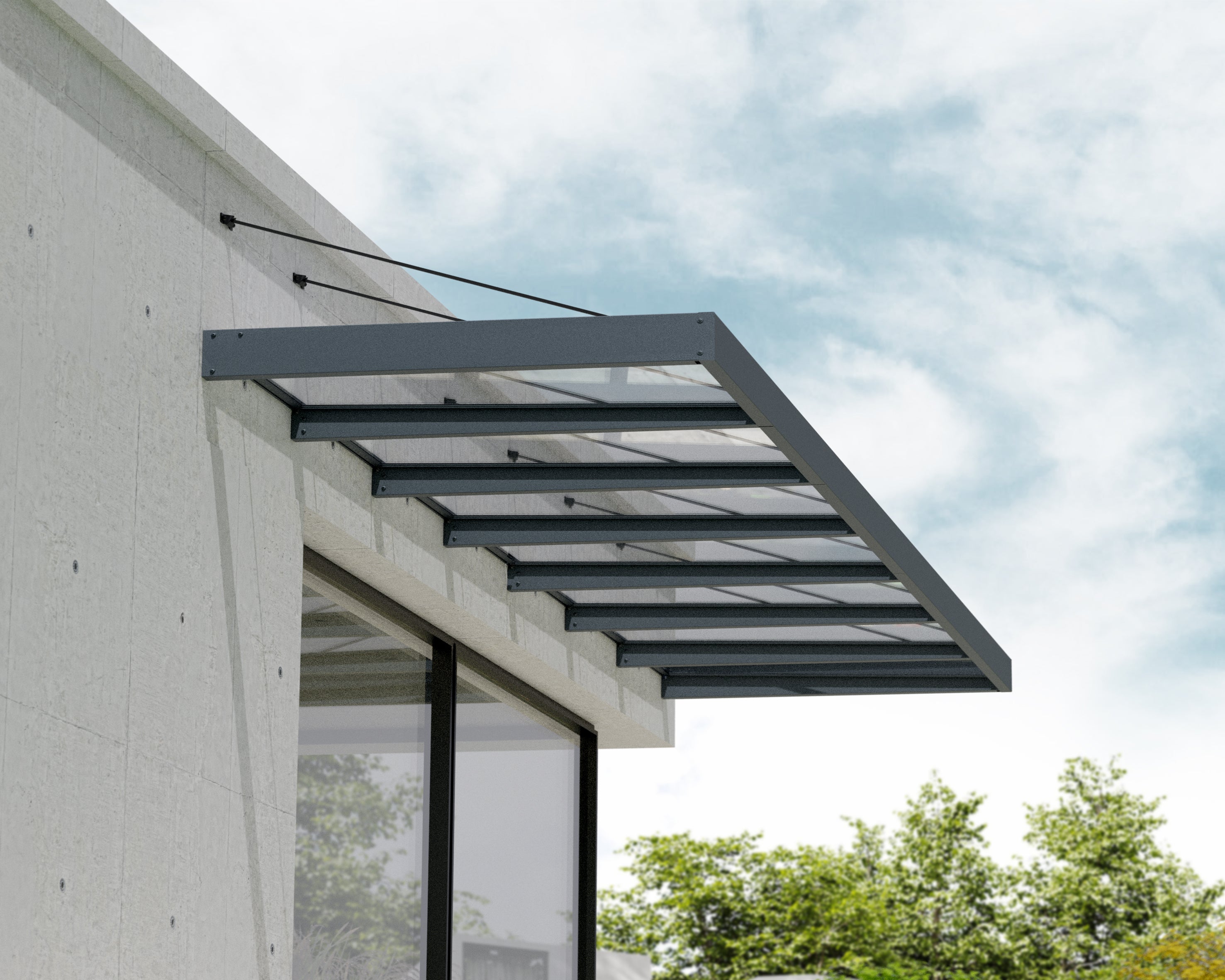 Marquesina para puerta Sophia XL 140x660 cm transparente Canopia ...