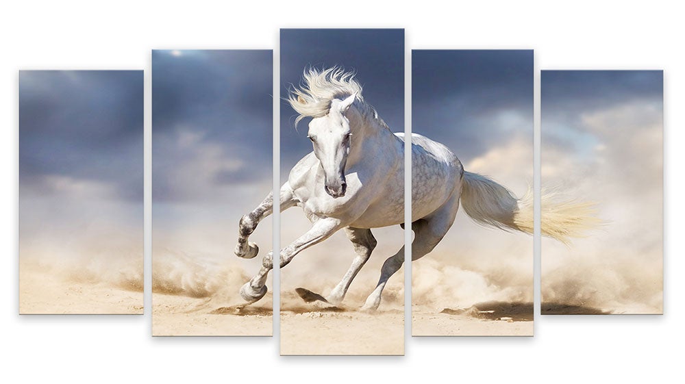 Tableau 5 parties animal le cheval blanc - 150x80 cm | Leroy Merlin