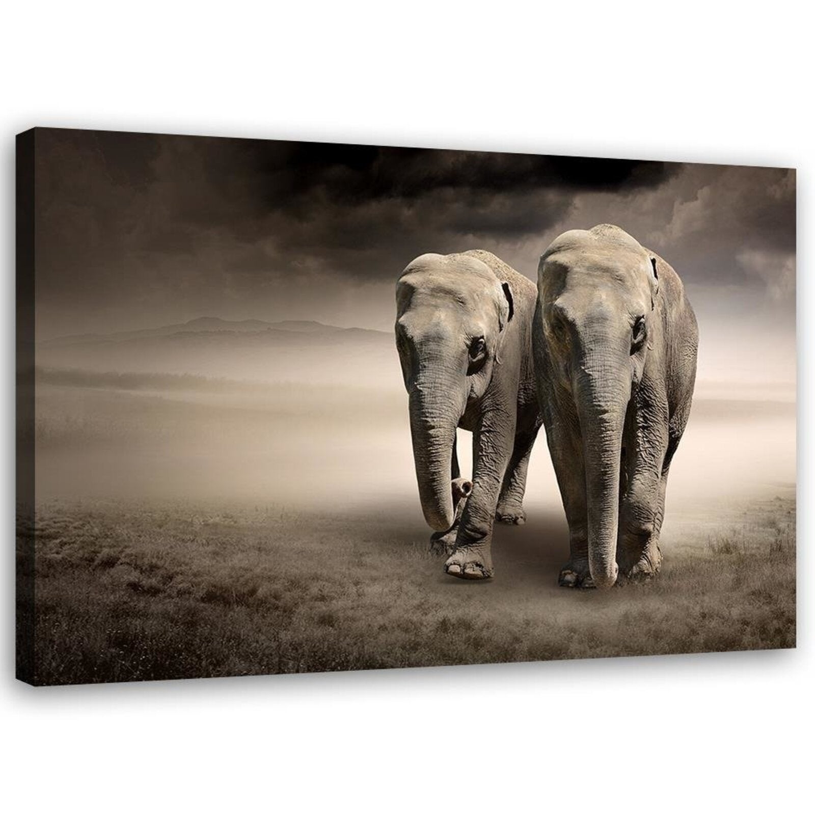 Tableau deux éléphants - 90 x 60 cm | Leroy Merlin