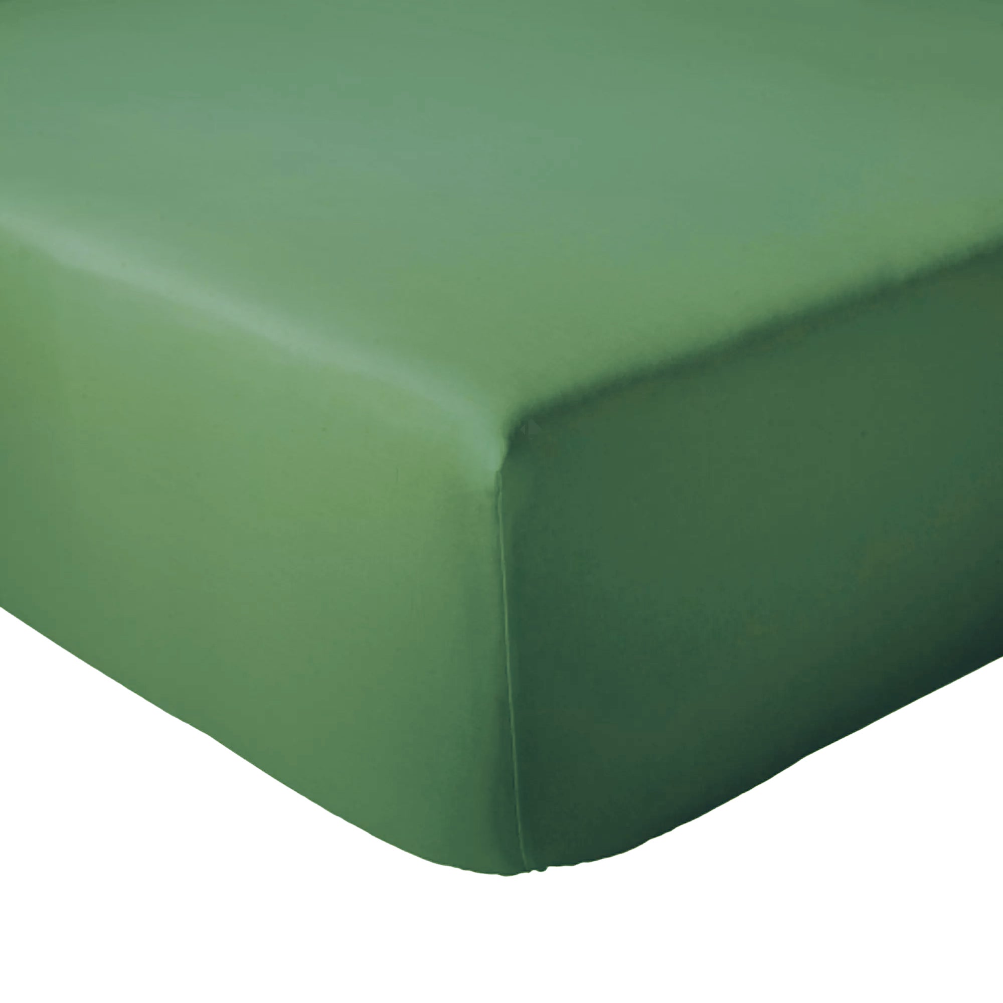 Drap housse 160x200 cm bonnet 30 coton ÉVASION Vert fougère | Leroy Merlin