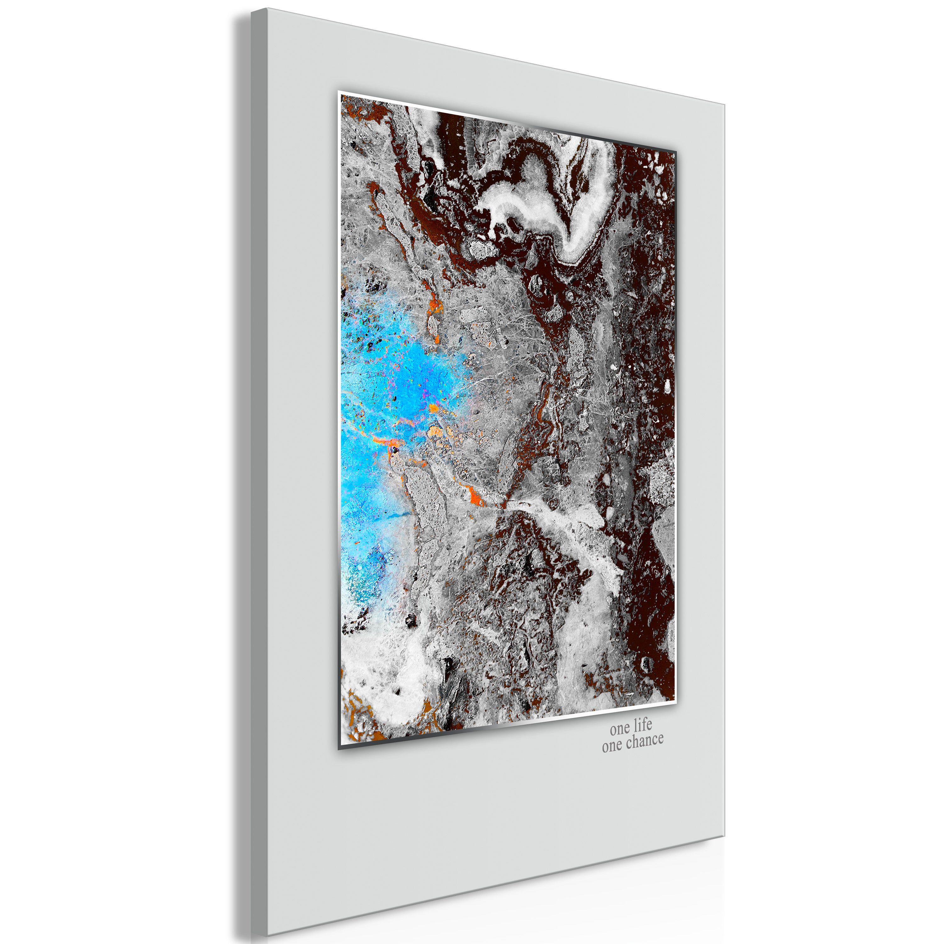 Tableau - One Life - One Chance (1 Part) Vertical [20x30] | Leroy Merlin