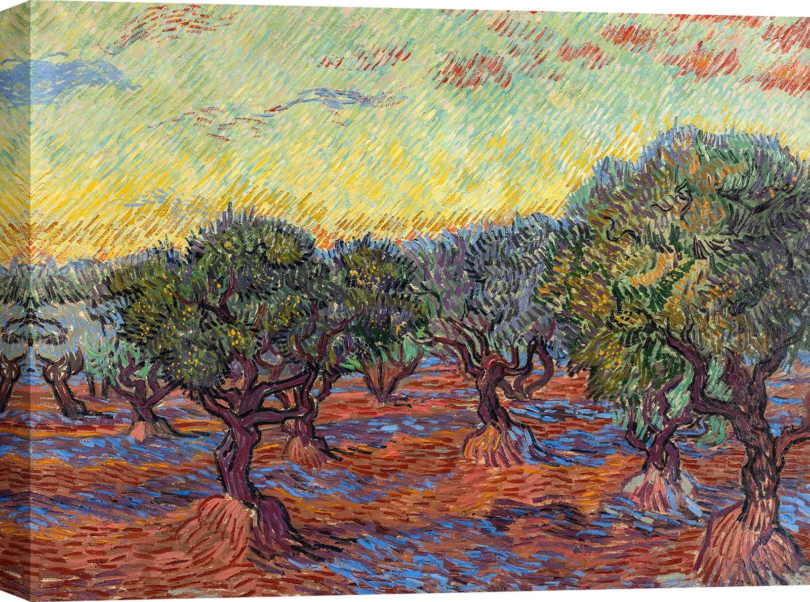 Tableau de Vincent van Gogh, Oliveraie, Saint-Rémy - 70x50 cm | Leroy ...