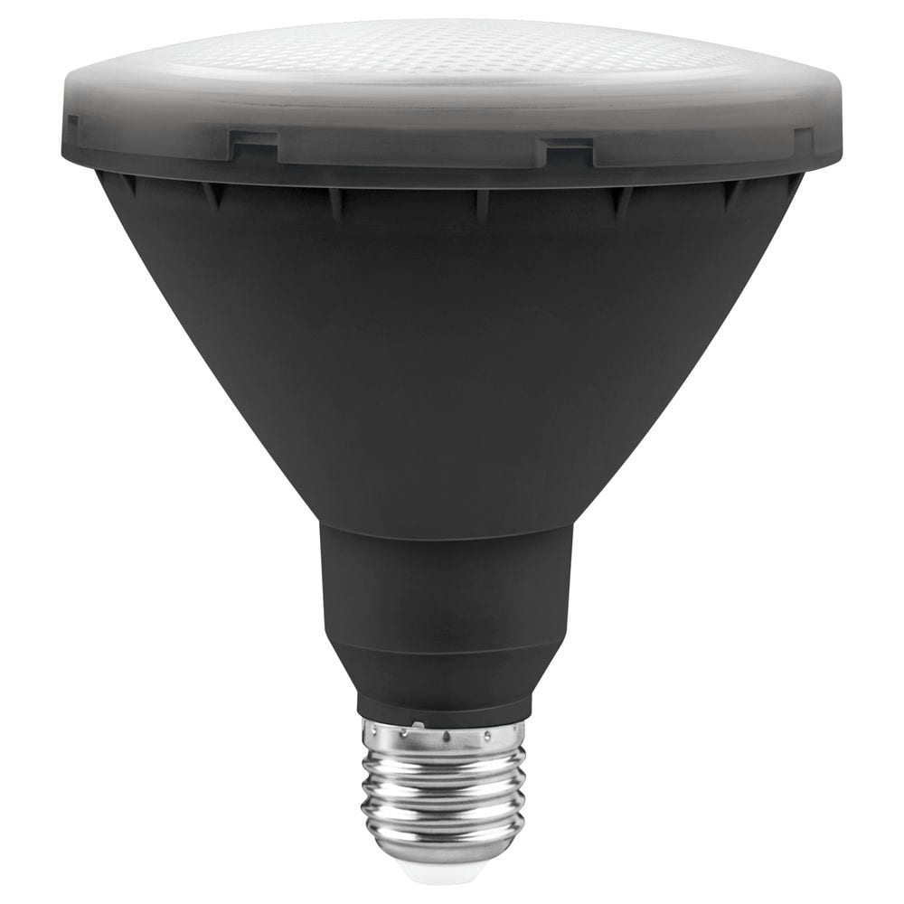 Lampadina led da giardino par38 ip65 matel e27 15w freddo | Leroy Merlin