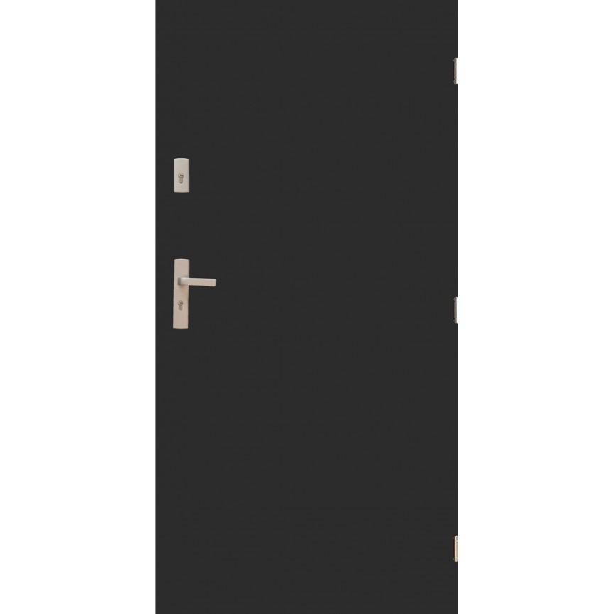 Porte d'entrée MARS 90 cm 72 mm en acier inoxydable - Couleur ...