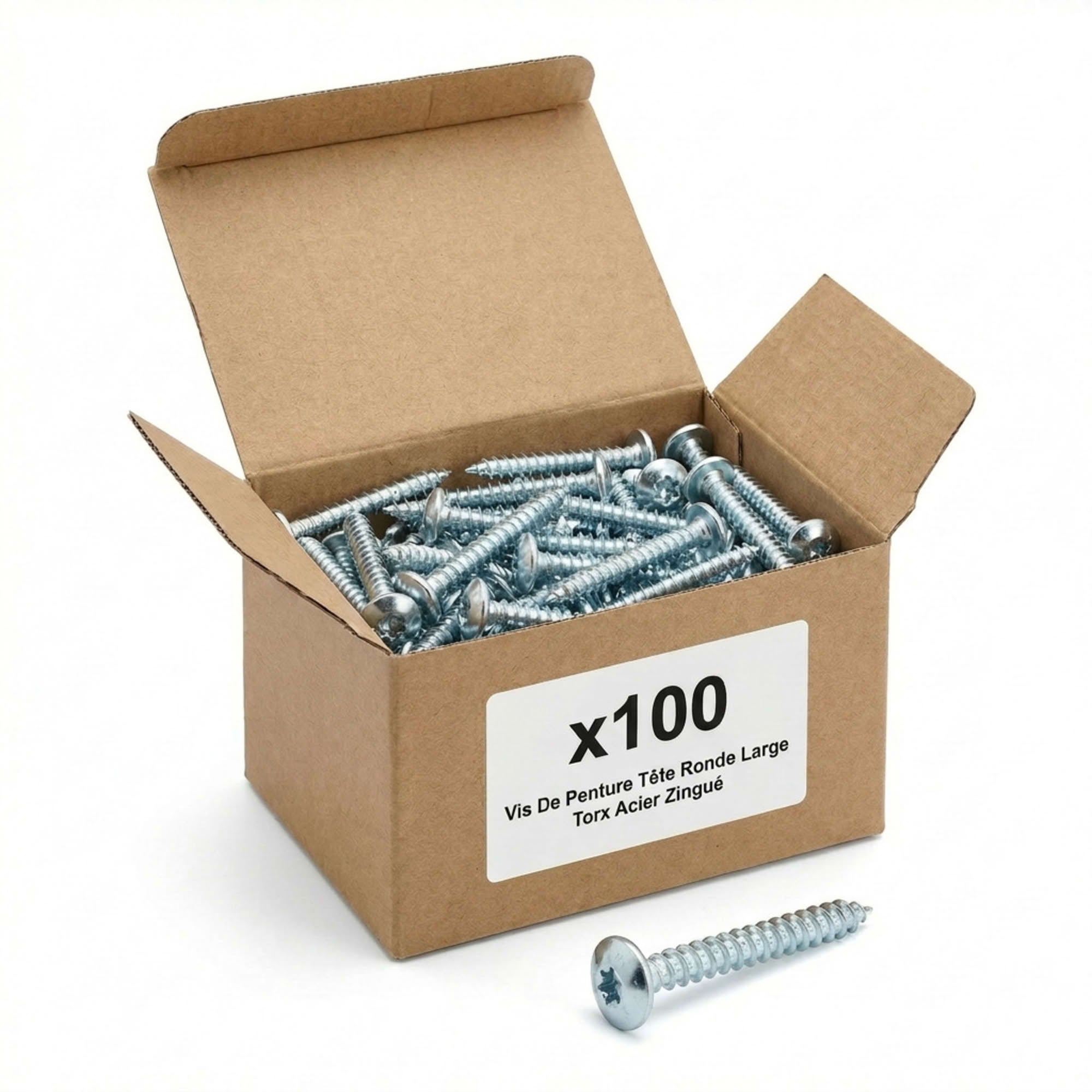 100 Vis Penture Torx acier zingués blanc - Diamètre 6 mm - Longueur 60 ...