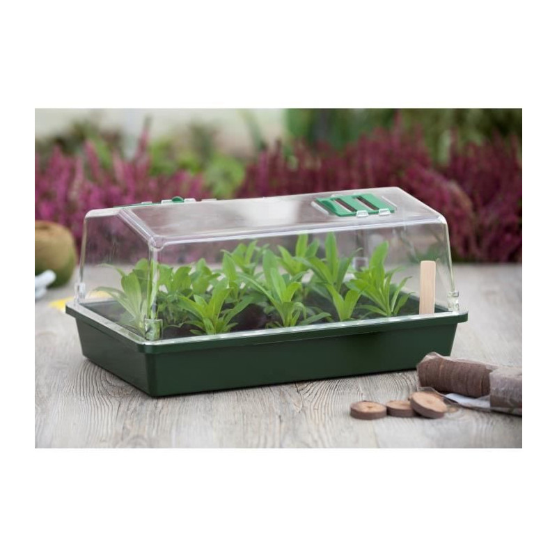 Mini serre terrine et couvercle ventile 37x24x18 xm | Leroy Merlin