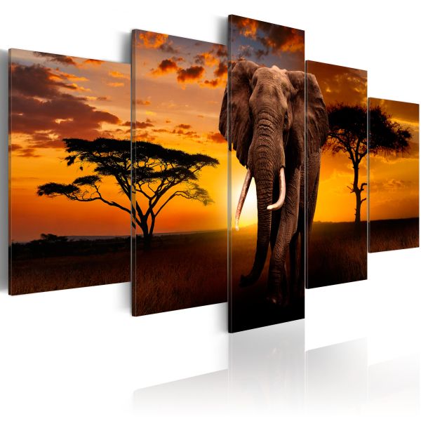 Tableau africain et ethnique The Savannah King 100x50 cm | Leroy Merlin
