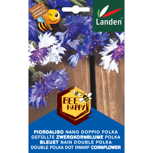 Semi per Fiori Bee Happy Fiordaliso Nano Doppio Polka Landen | Leroy Merlin
