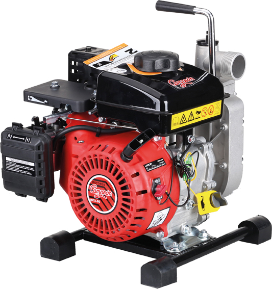 MOTOBOMBA 4T H:5M 15000L/H ASP | Leroy Merlin