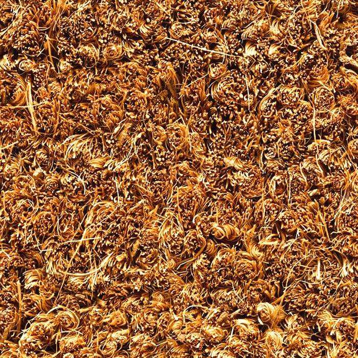 Felpudo ARUBA 30 200x600cm Color natural | Leroy Merlin
