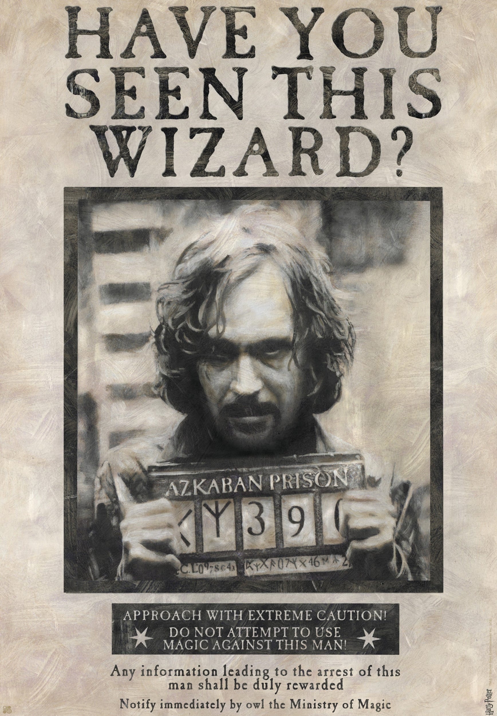 Poster Harry Potter - Wanted Sirius Black 61x91.5cm | Leroy Merlin