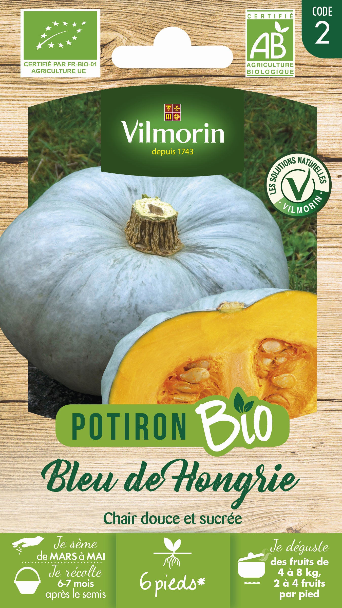 Potiron Bleu de Hongrie - BIO | Leroy Merlin