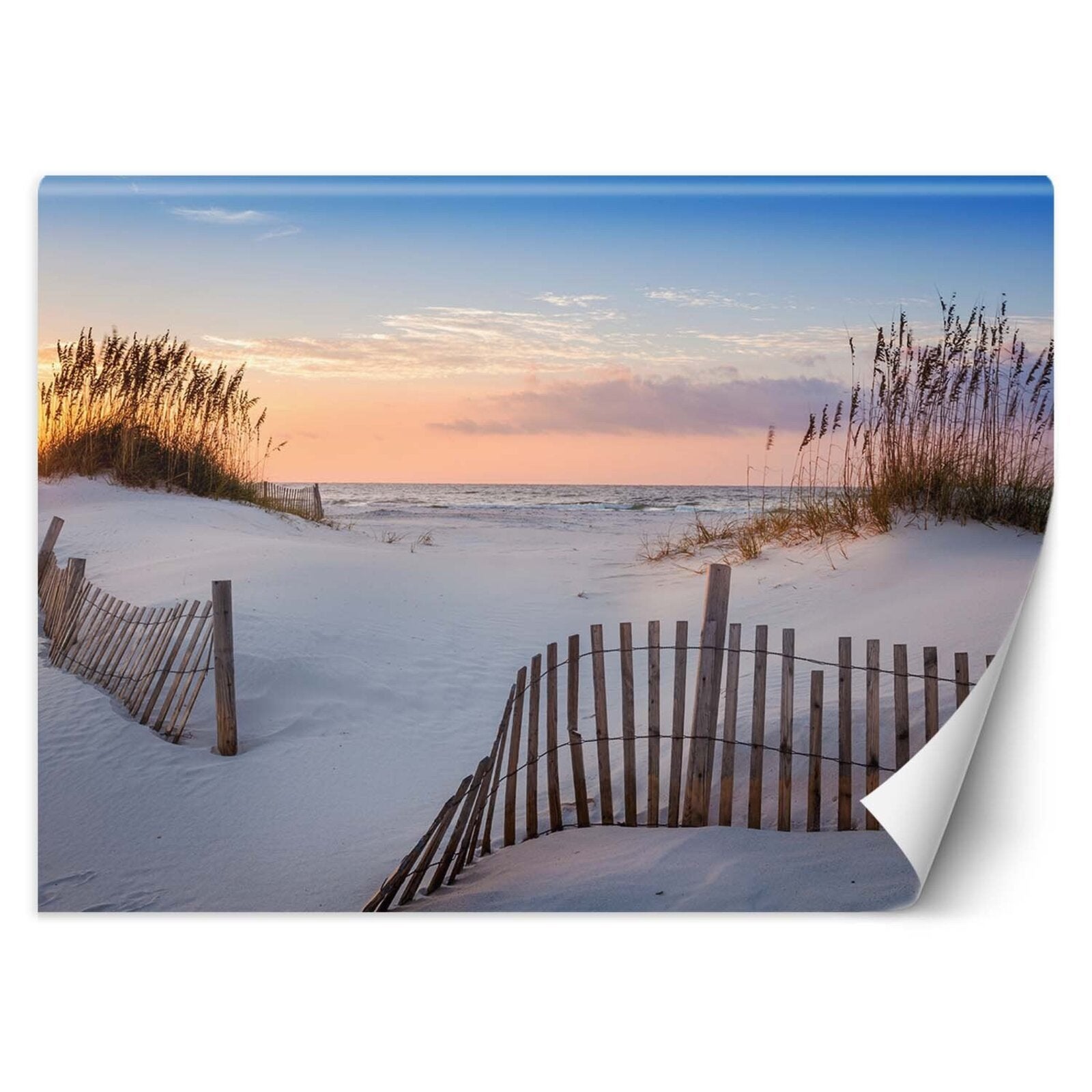 Papier peint plage sur la mer baltique - 100 x 70 cm | Leroy Merlin