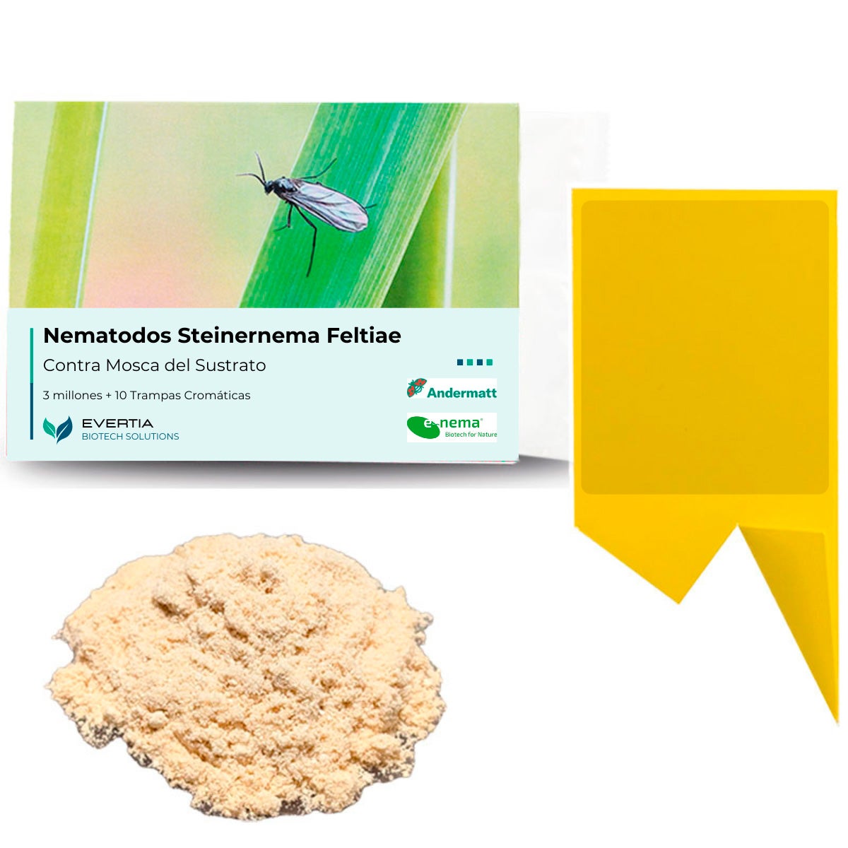 Nématodes contre les Mouches du Terreau, 3 Millions + 10 Pièges Chromatiques Jaunes. Kit Complet ...