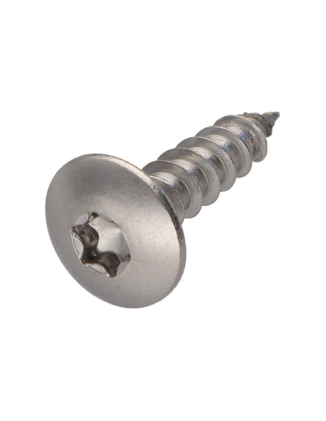 Vis Penture 6X25 Filetage total TORX T30 Inox A2-10 pièces | Leroy Merlin